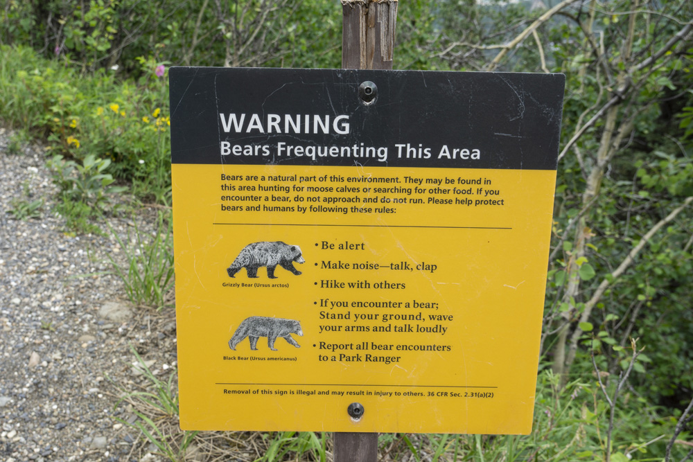 alaska-susan-burkholder-DSC08000 (6)