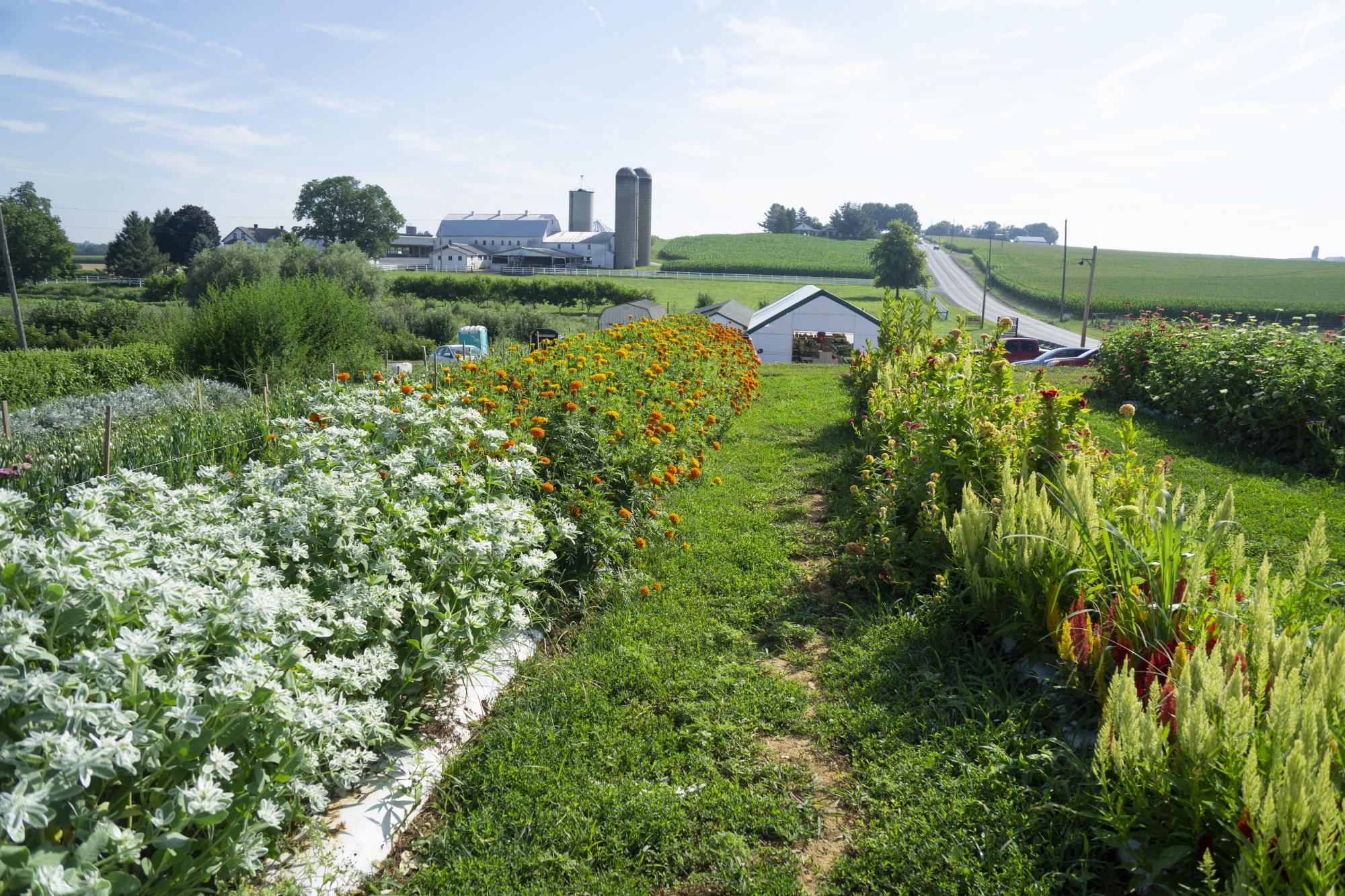 farm-stand