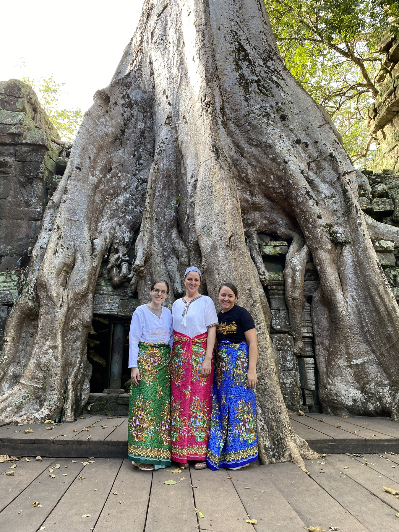 giant-tree-roots